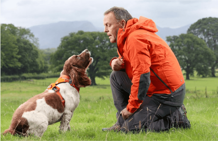 Max the miracle dog nominated as hero pet in national awards - The ...