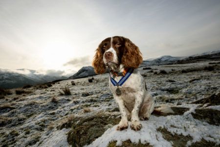Statue unveiled in honour of Keswick canine superstar Max the Miracle ...